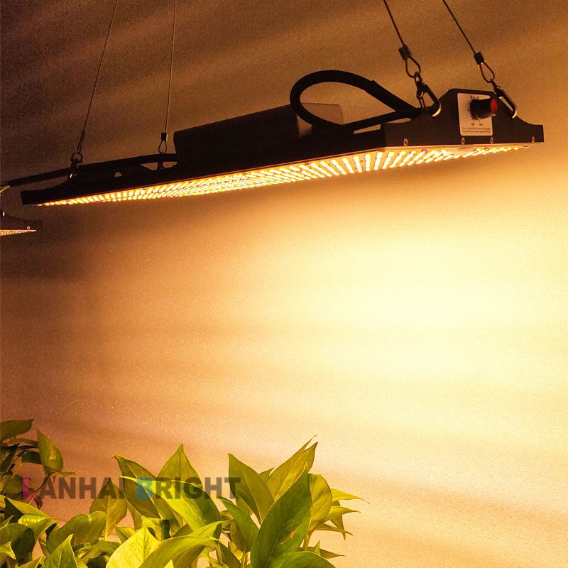 200W Plant LED Grow Light