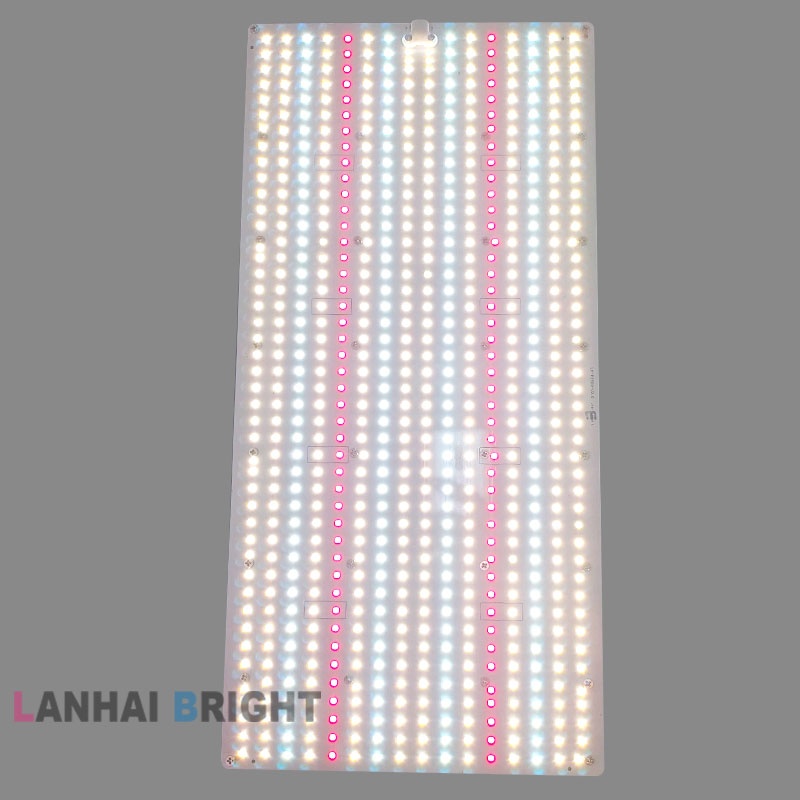 200W Plant LED Grow Light