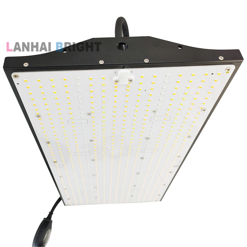 200W Plant LED Grow Light
