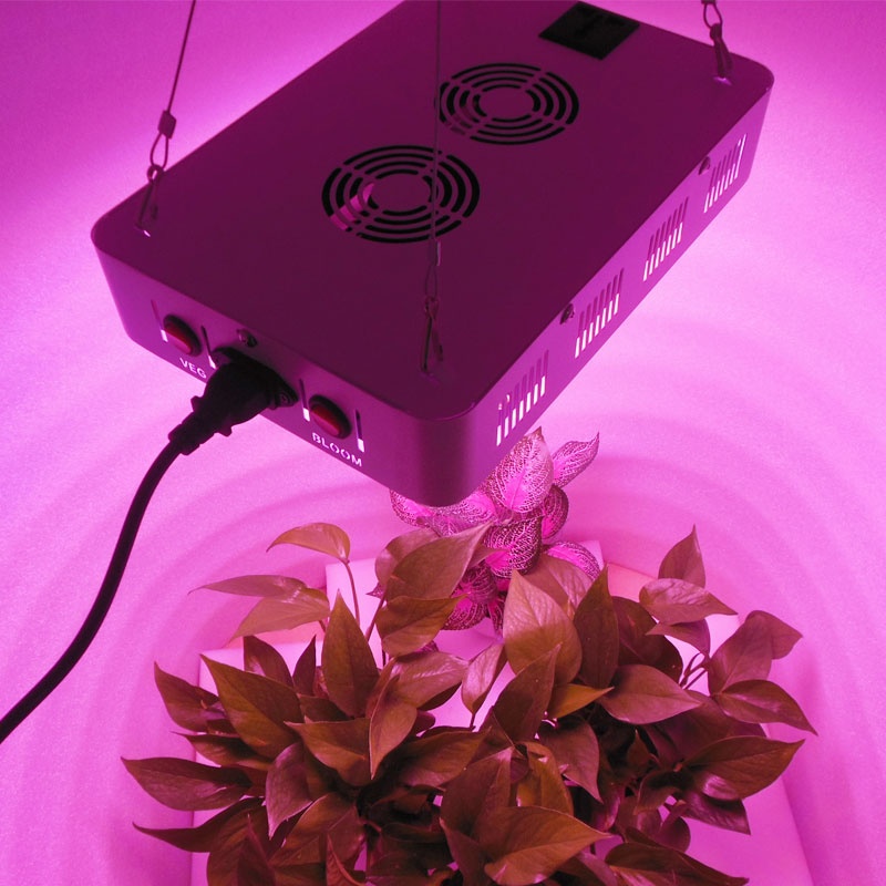 1200W Full Spectrum LED Grow Light